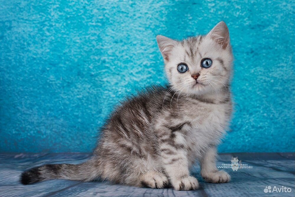 Мраморная девочка