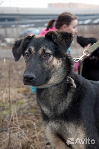 Стейси ищет дом