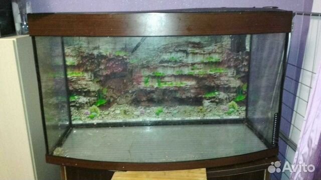 Аквариум 180л с тумбой