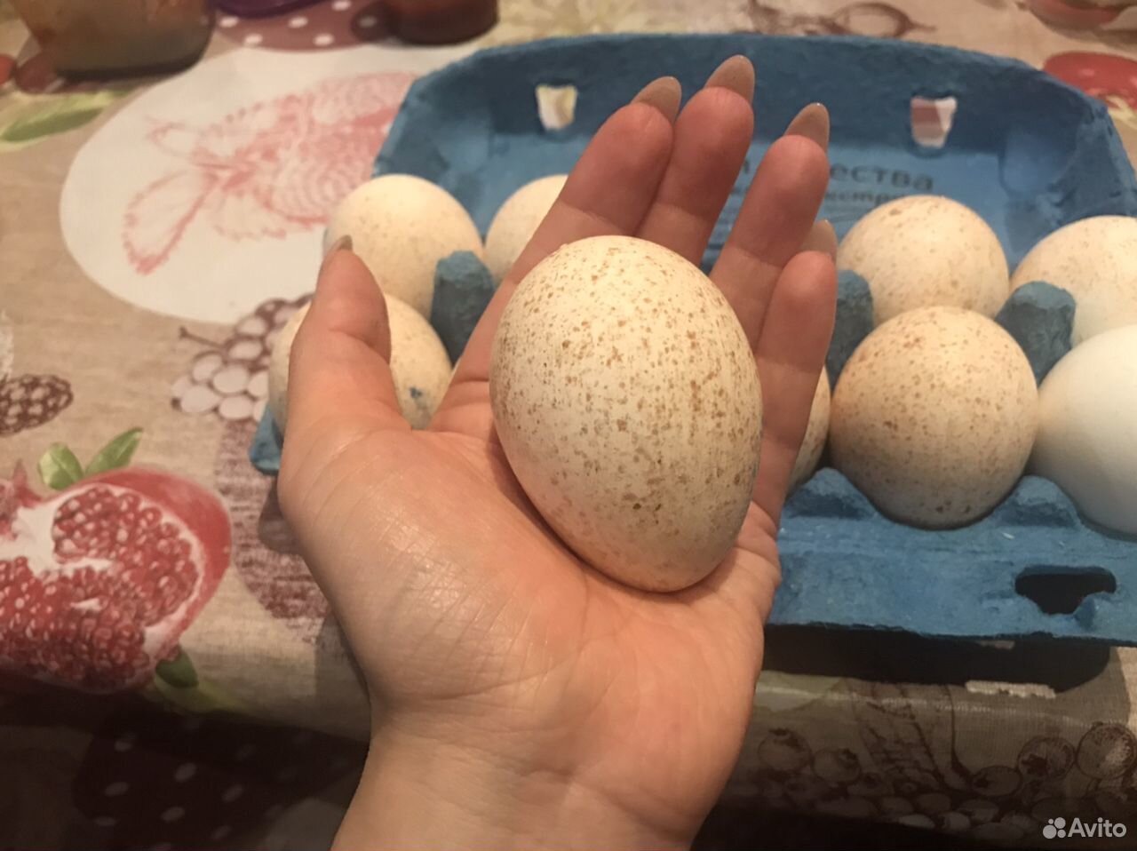 Яйца индейки