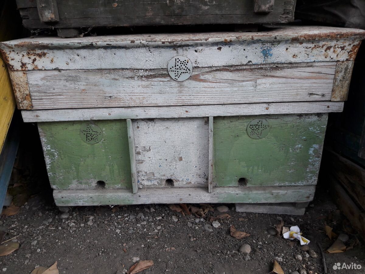 Ульи,мёд,пасека,микронуклеус