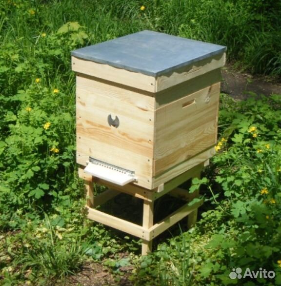 Продаю пчелосемьи