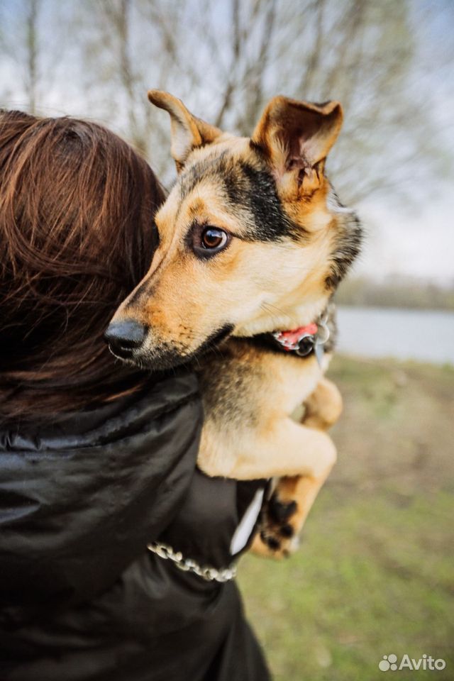 Прекрасная Элис