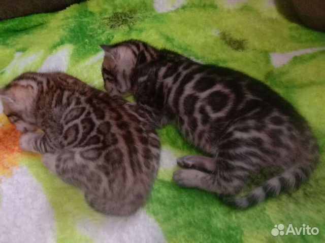 Открыт резерв