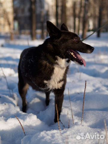Геля ищет своего человека