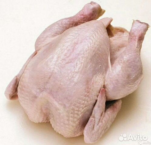 Куры броллеры