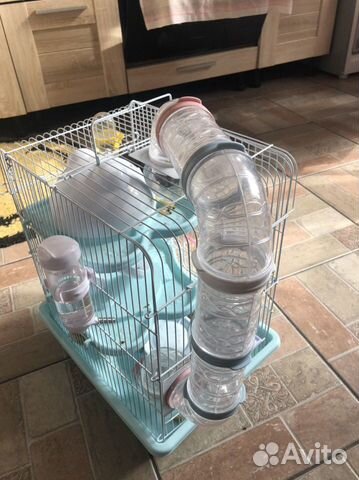 Клетка с хомяком