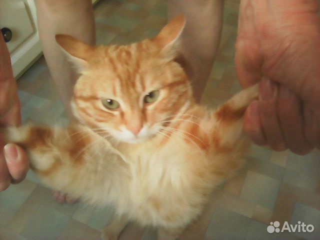 Лёва-солнечный лучик