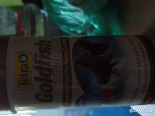 Tetra Goldfish Gold Japan