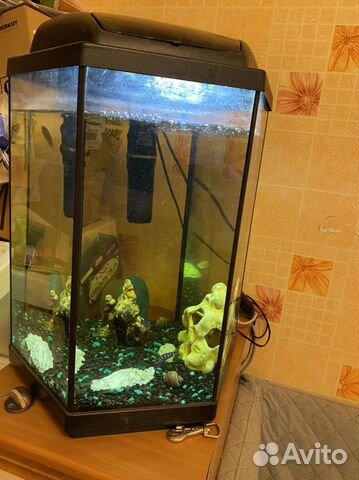 Аквариум aquael 60л