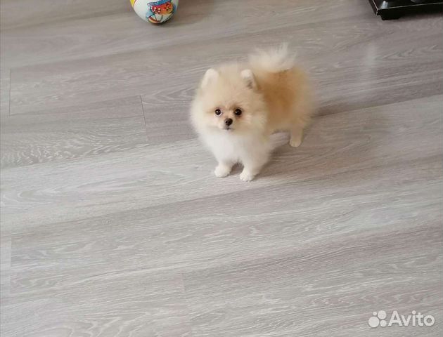 Девулька красотулька