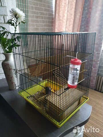 Крысы с клеткой