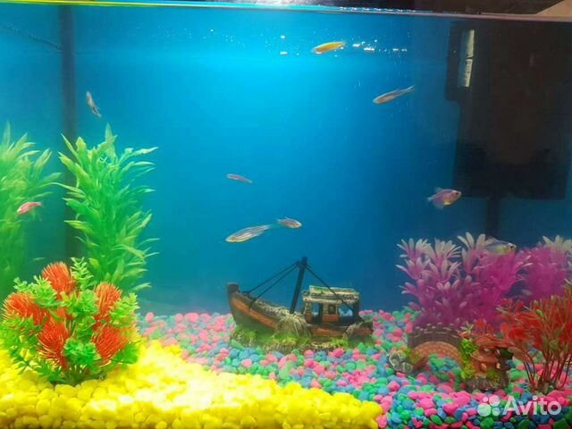 Аквариум