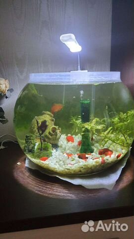 Круглый аквариум 17 литров. Полный комплект