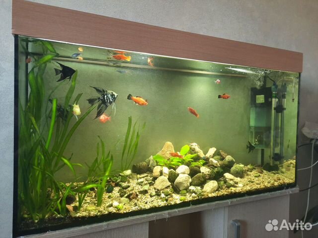 Продам аквариум на 150 литров