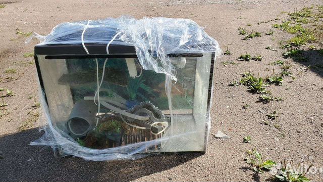 Черепашник с берегом