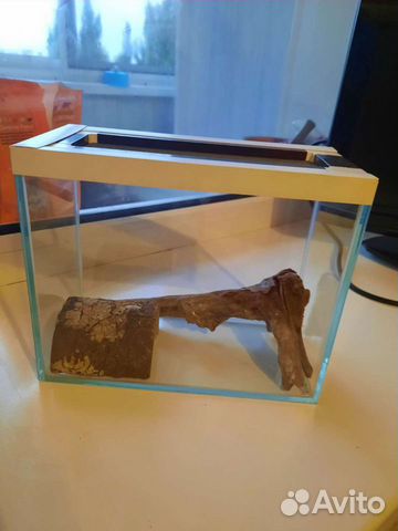Террариум для паука