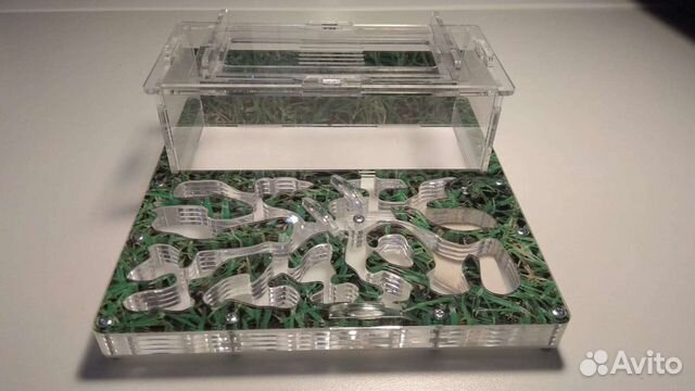 Муравьиная ферма