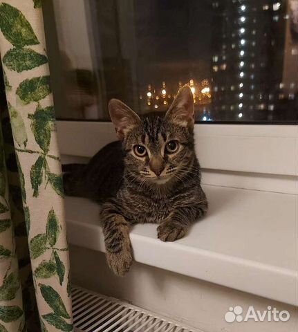 Очень хороший мальчик