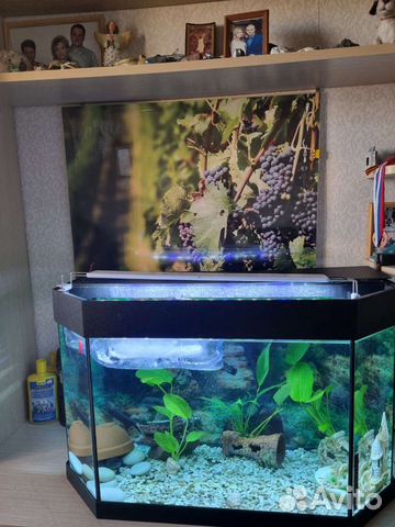 Аквариум 160 литров