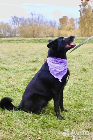 Ночка из приюта