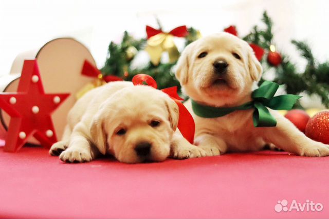 Для Тех Кто ценит Качество