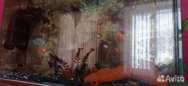 Аквариум 120 литров