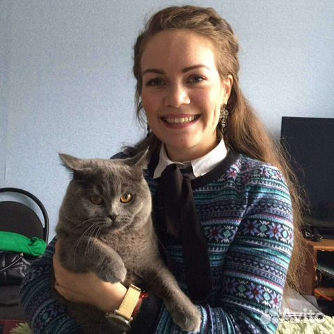 Няня для кошки, кота