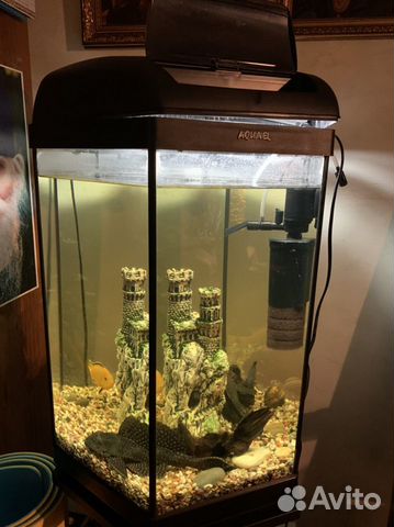Аквариум