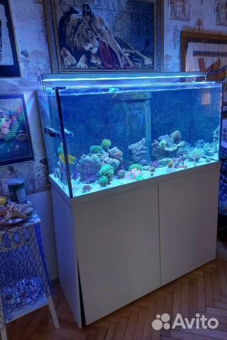 Морской аквариум с тумбой 360л