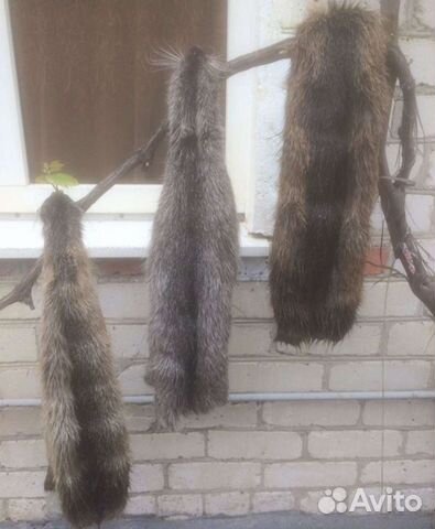 Шкуры нутрии