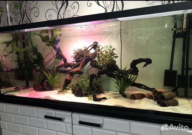 Аквариум 470л