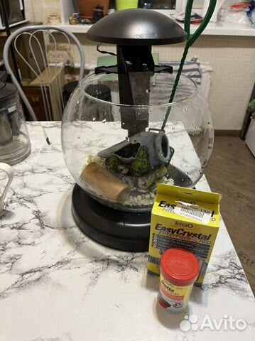 Аквариум. Аквариум круглый