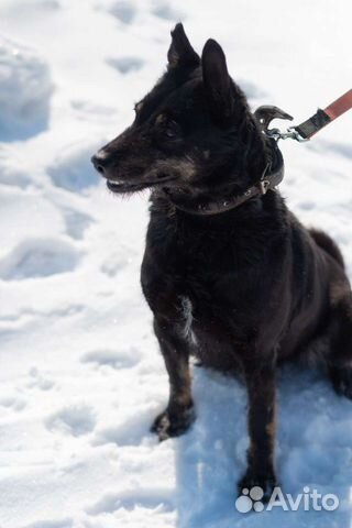 Прекрасная охранница с огромной душой