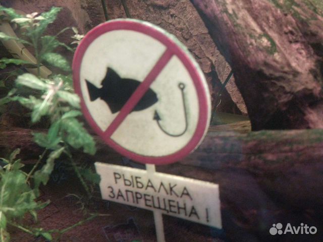 Табличка-прикол в аквариум
