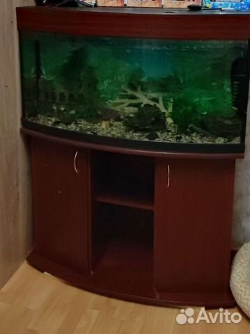 Аквариум 200 литров с тумбой