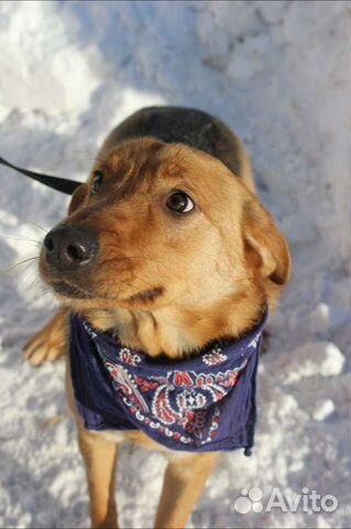 В глазах Баффи надежда