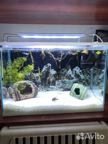 Аквариум