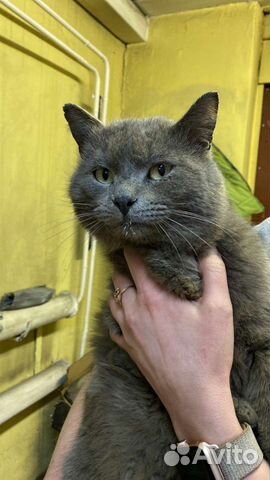 Зав складом Антоша ищет новое место работы