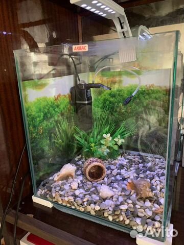 Аквариум для рыбок