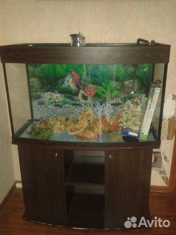 Продам аквариум