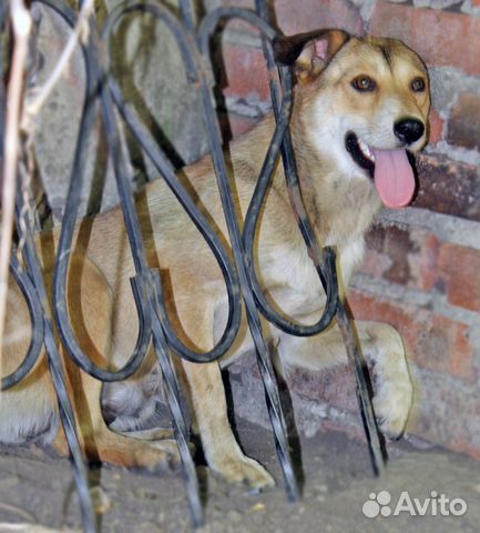 Лолита-улыбака