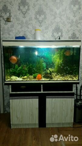 Аквариум200л