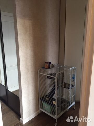 Дегу с клеткой