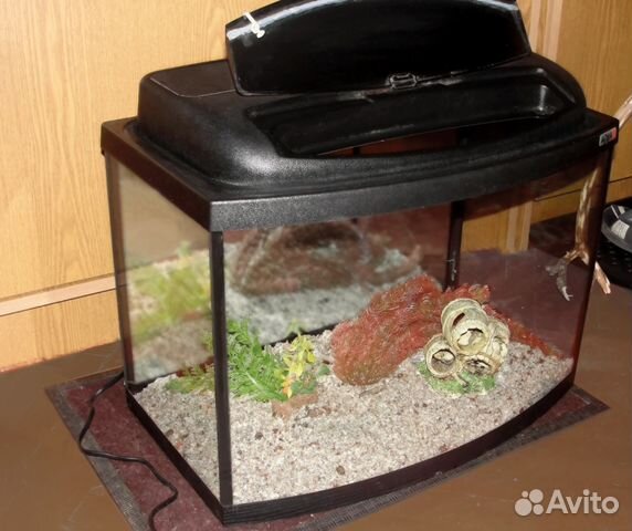 Аквариум + все, что нужно для быстрого запуска