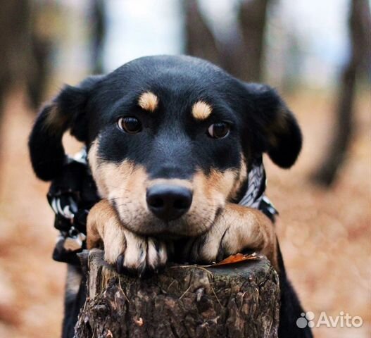 Нежная и обаятельная Герда