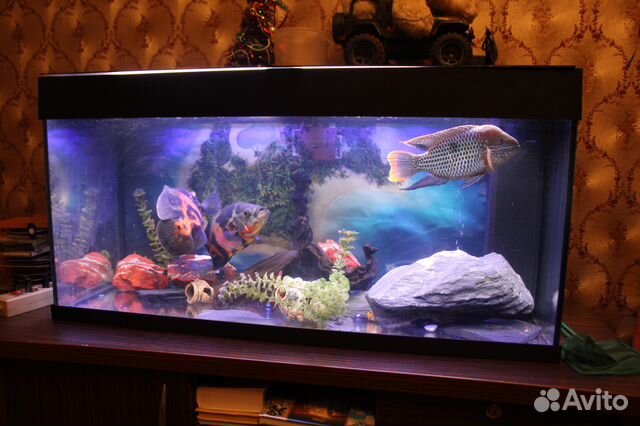 Продам аквариум