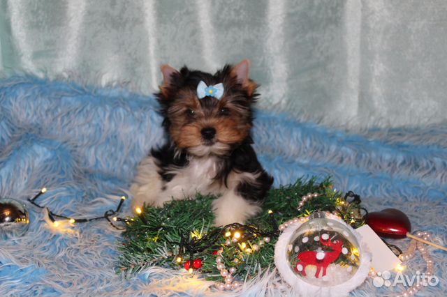 Мальчик огонёк