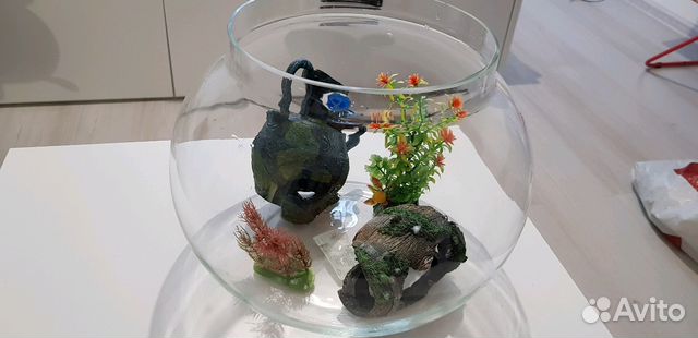 2 Сферических (круглых) аквариума 20л и 5л