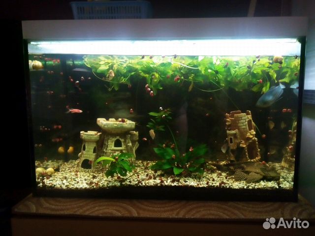 Аквариум 120л